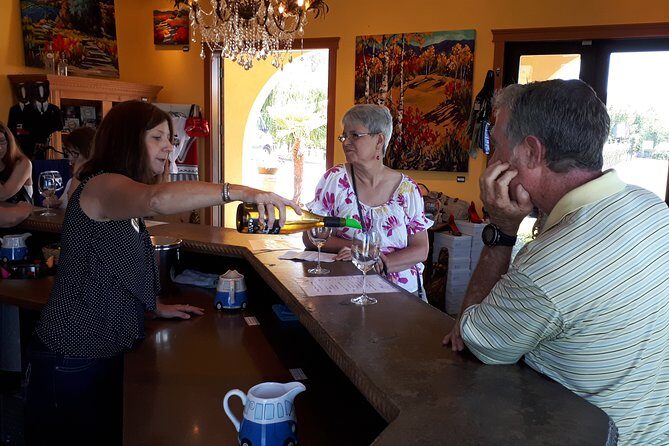 Kelowna or West Kelowna Afternoon Sightseeing Wine Tour - Final Thoughts: Who Will Love This Tour?