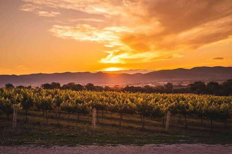 Kelowna: Sunset Sip Wine Tour - The Reviews: What People Are Saying