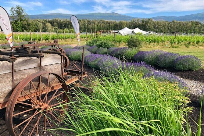 Kelowna Wine Tour by E-bike, Okanagan Valley Views and Lunch - An In-Depth Look at the Kelowna E-bike Wine Tour