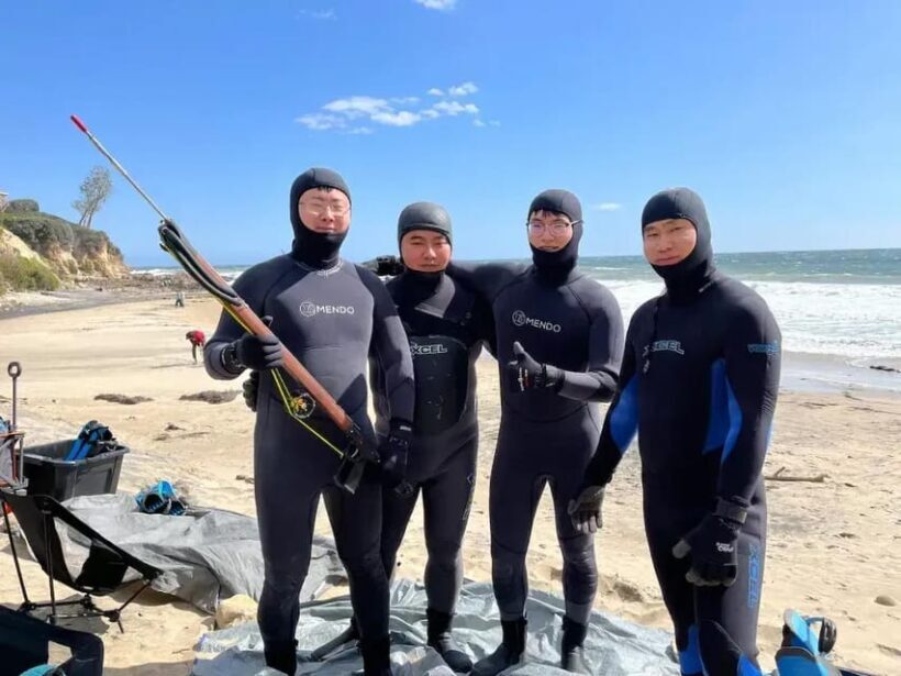 Kelp Forest Spearfishing Adventure - Final Thoughts