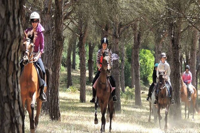 Kemer Horse Safari Experience With Free Hotel Transfer - Meeting Points and Pickup Information