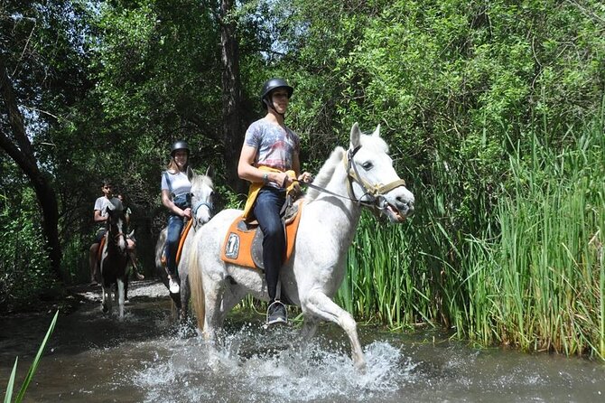 Kemer Horse Safari Experience With Free Hotel Transfer - Recommendations for Participants