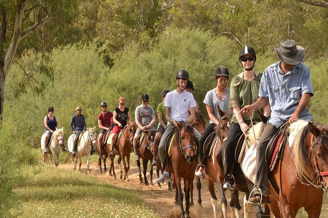 Kemer Horse Safari Experience With Free Hotel Transfer - Customer Reviews and Ratings