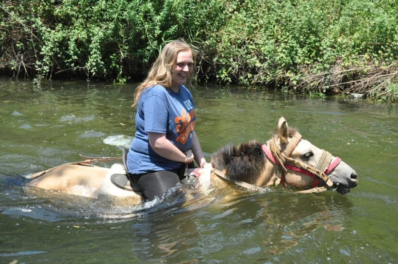 Kemer Horse Safari, pick up from Kiris, Beldibi, Goynuk - The Practicalities: Booking, Cost, and What’s Included