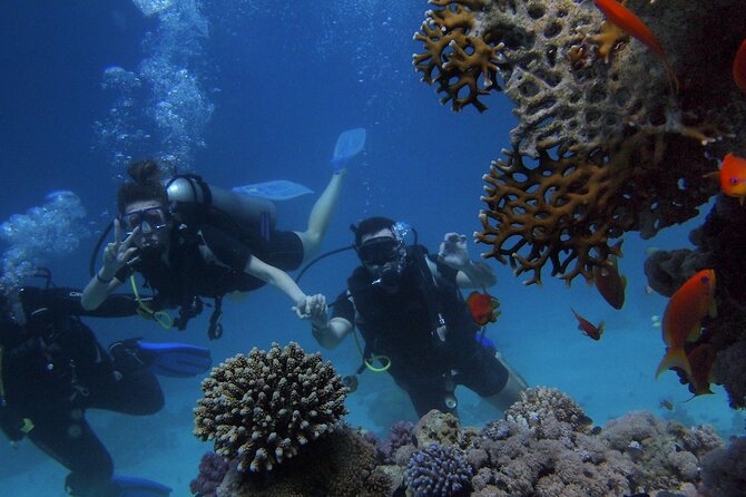 Kemer Scuba Diving Experience: Two Dives With Lunch - Feedback and Reviews