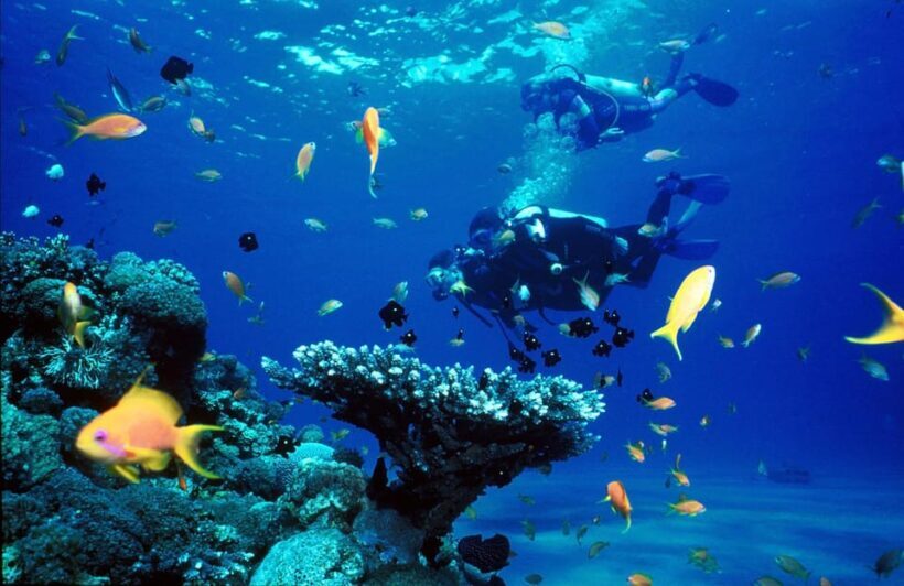 Kemer Scuba Diving with Expert Diving Option - FAQs