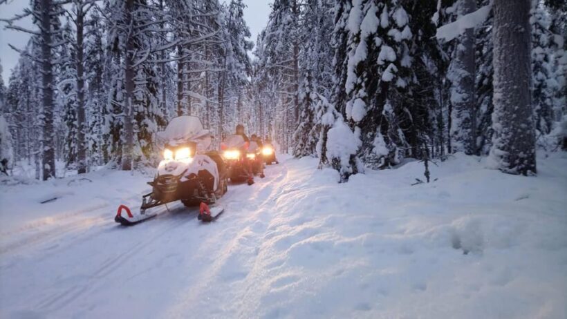 Kemi-Tornio: Snowmobile Forest Safari w/ Hot Drink & Snacks - Key Points