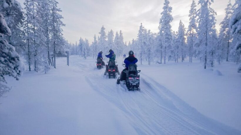 Kemi-Tornio: Snowmobile Forest Safari w/ Hot Drink & Snacks - An Authentic Arctic Ride: What to Expect from the Tour