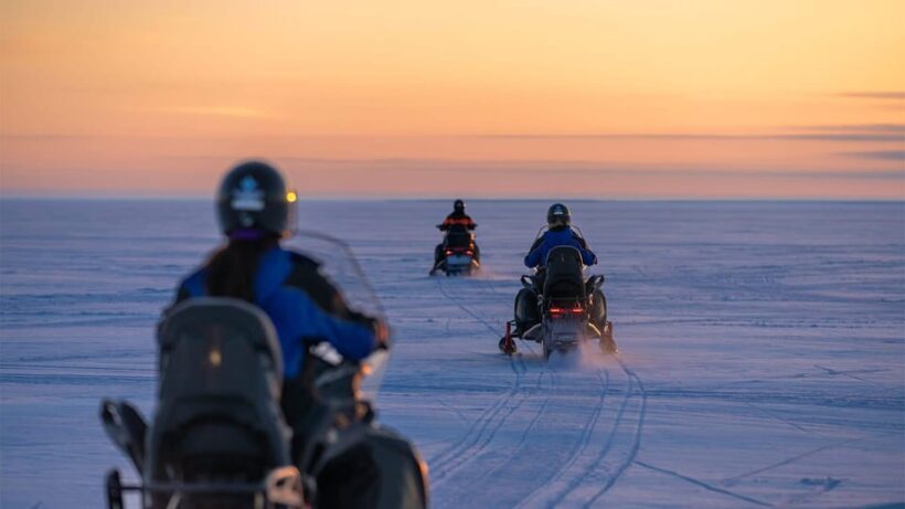 Kemi-Tornio: Snowmobile Forest Safari w/ Hot Drink & Snacks - Practical Details for Travelers