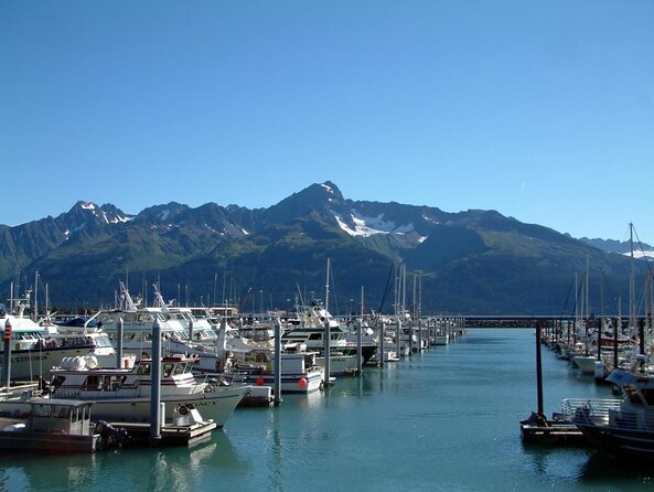 Kenai Fjords and Resurrection Bay Half-Day Wildlife Cruise - Frequently Asked Questions
