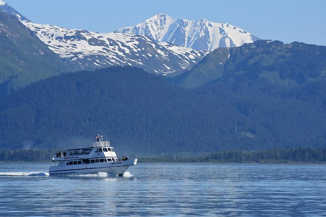 Kenai Fjords Orca Quest Cruise - Exploring Resurrection Bay and Kenai Fjords