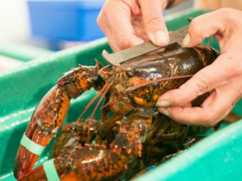 Kennebunkport, Maine: Lunchtime Culinary Walking Tour - The Atmosphere and Group Dynamics