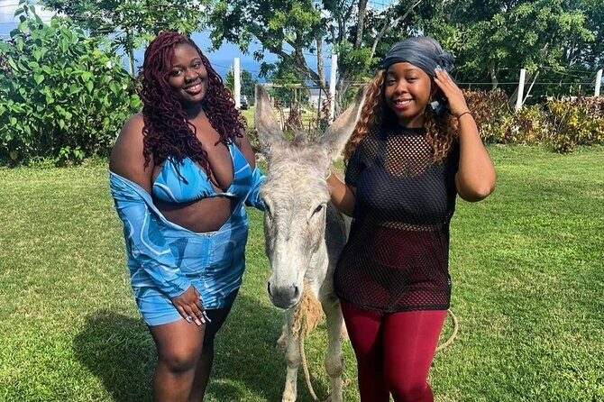 Kennedys ATV and Nature Tour in Montego Bay - The Sum Up: Who Is This Tour Best For?