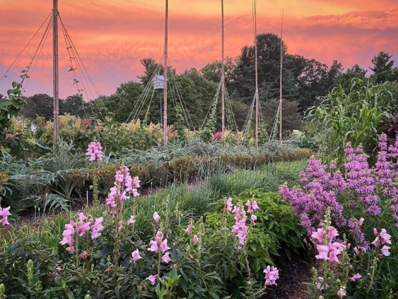 Kennett Square: Longwood Gardens Admission Ticket - Key Points