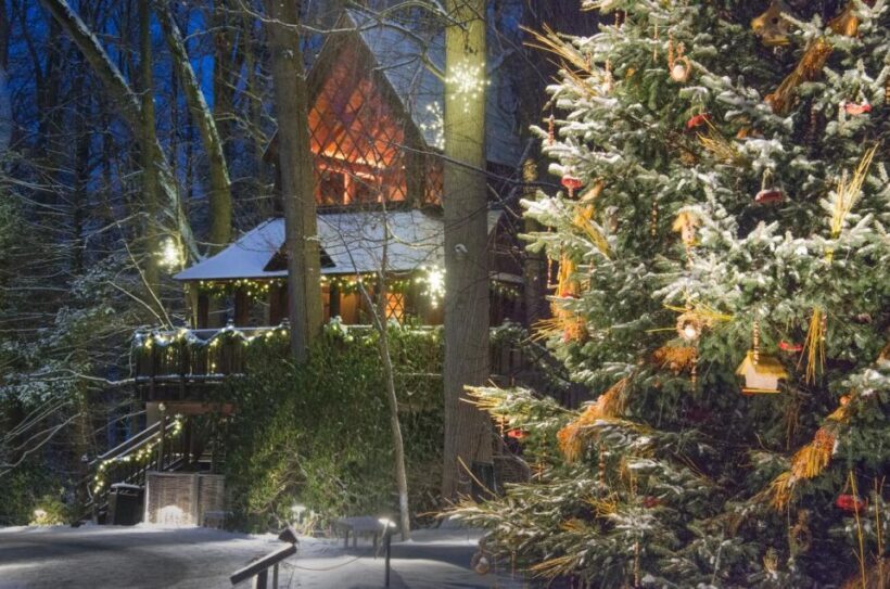 Kennett Square: Longwood Gardens Admission Ticket - A Complete Look at Longwood Gardens