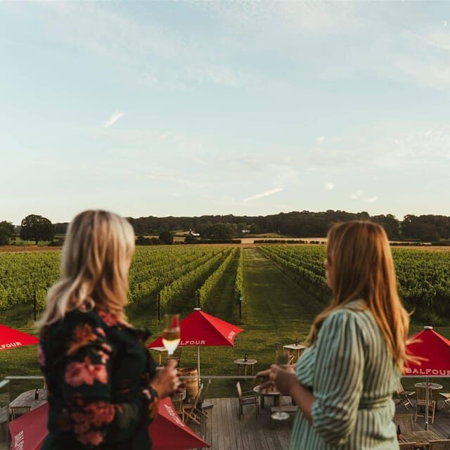 Kent: Balfour Vineyard Walk and Wine Tasting - Key Points