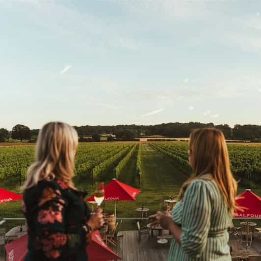 Kent: Balfour Vineyard Walk and Wine Tasting - An Introduction to the Experience