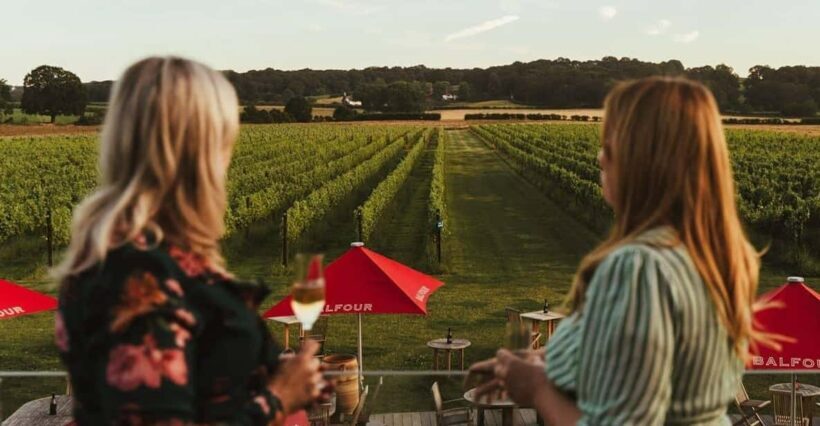 Kent: Balfour Vineyard Walk and Wine Tasting - The Practical Details