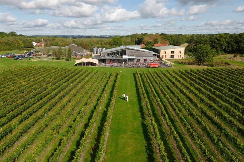Kent: Balfour Vineyard Walk and Wine Tasting - The Sum Up