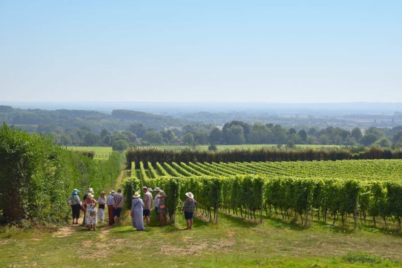 Kent: Yotes Court Vineyard Tour and Tasting - An Authentic Look at Kent’s Wine Scene
