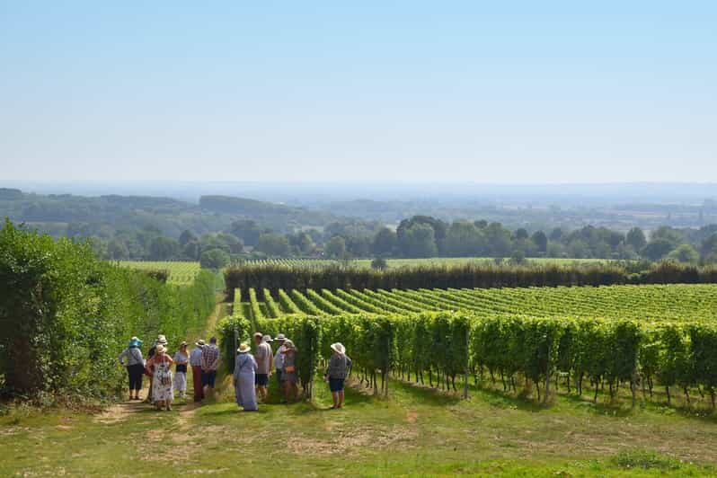 Kent: Yotes Court Vineyard Tour and Tasting - Who Is This Tour Best For?