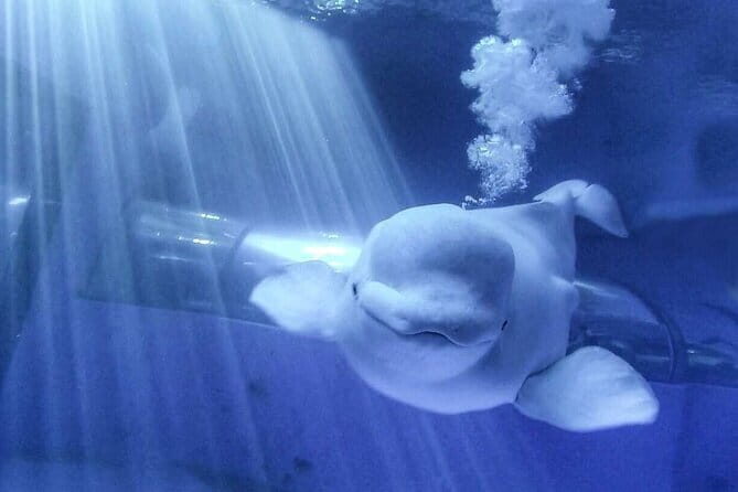 Kenting Aquarium Admission Ticket in Taiwan - A Practical Guide to Your Visit at Kenting Aquarium