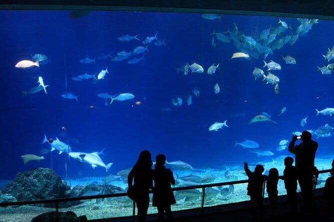 Kenting Aquarium Admission Ticket in Taiwan - The Experience: What You’ll Really Notice