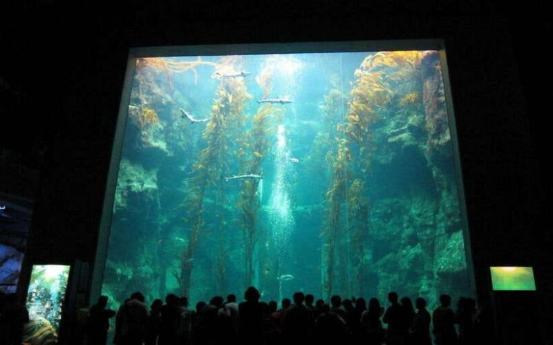 Kenting: National Museum of Marine Biology & Aquarium - Interactive and Educational Experiences