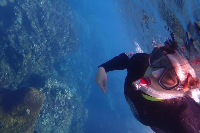 Kenting, TaiwanSnorkeling Free underwater photography One-on-one with instructorTaiwan Diving Snorkeling - Snorkeling Underwater