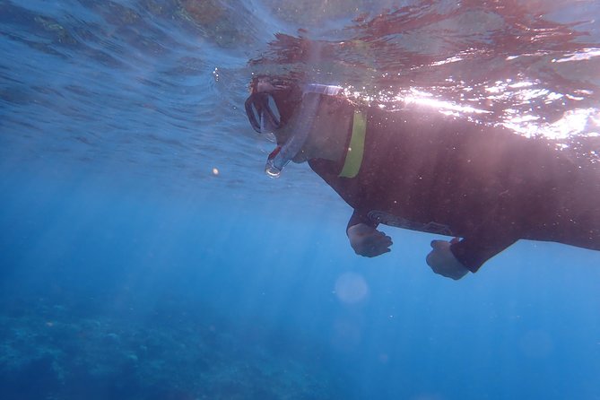 Kenting, TaiwanSnorkeling Free underwater photography One-on-one with instructorTaiwan Diving Snorkeling - The Pros and Cons