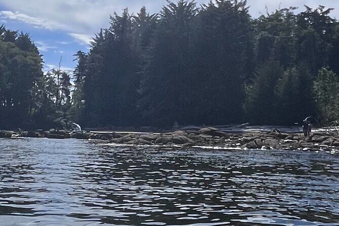 Keogh River Bear Kayaking Tour - Who Will Love This Tour?