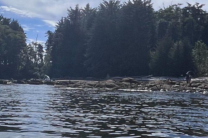 Keogh River Bear Kayaking Tour - Frequently Asked Questions