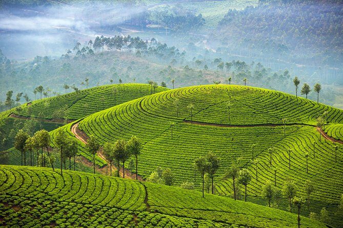 Kerala and Tamil Nadul Dreamscape Journey (South India) - An In-Depth Look at the Itinerary
