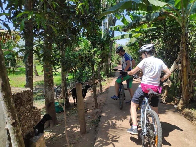 Kerala Beach and Backwater Village Cycling Tour (Alleppey) - FAQ