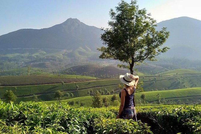 Kerala Honeymoon Special Package with Private Houseboat - Day 5: Cultural Wrap-up in Fort Kochi