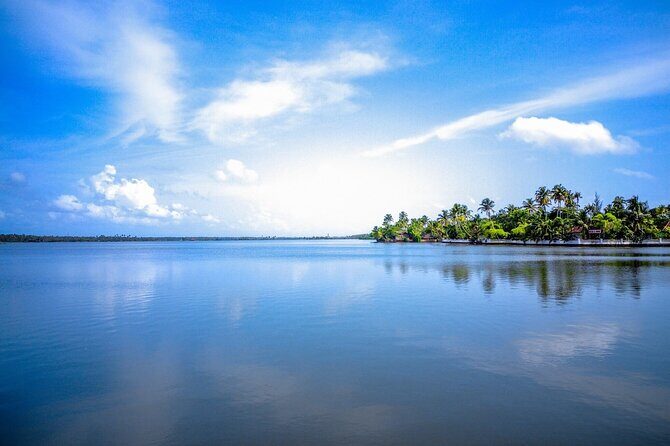 Kerala Sea Food Trail: An Excursion To Cherai Beach - An In-Depth Look at the Kerala Sea Food Trail