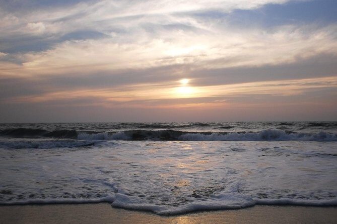 Kerala Sea Food Trail: An Excursion To Cherai Beach - Authentic Insights from Travelers