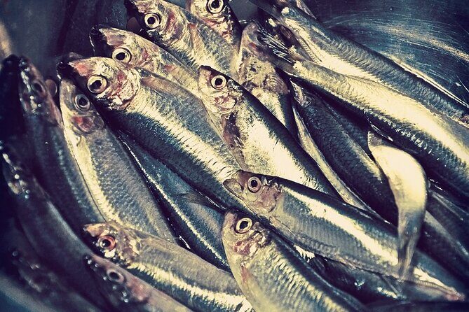 Kerala Sea Food Trail: An Excursion To Cherai Beach - The Sum Up