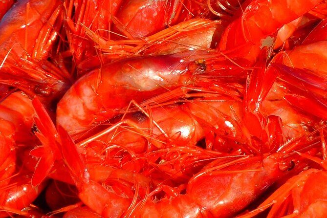 Kerala Sea Food Trail: An Excursion To Cherai Beach - FAQ