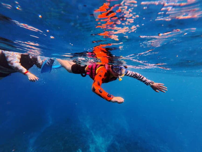 Kerama Half-Day Snorkeling Tour - The Sum Up: Is This Tour Worth It?