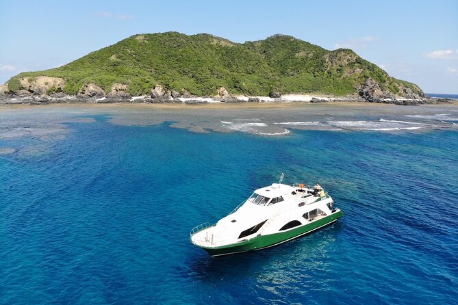 Kerama Islands Experience Dive/Snorkeling/Whale Watching Service - Booking Details