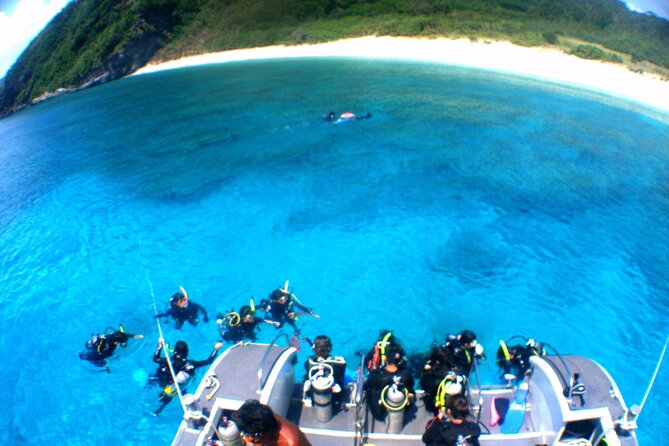 Kerama Islands Experience Dive/Snorkeling/Whale Watching Service - What to Expect During the Tour