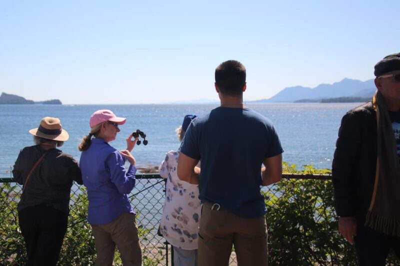 Ketchikan: Alaska Native Cultural and Scenic Shore Excursion - Key Points