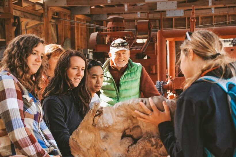 Ketchikan: Alaska Rainforest Sanctuary and Totem Park Walk - In Summary