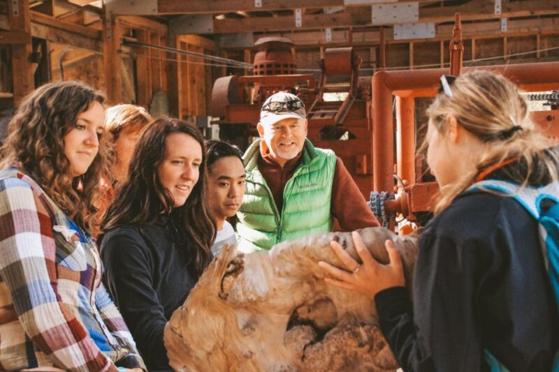 Ketchikan: Alaska Rainforest Sanctuary and Totem Park Walk - Final Thoughts