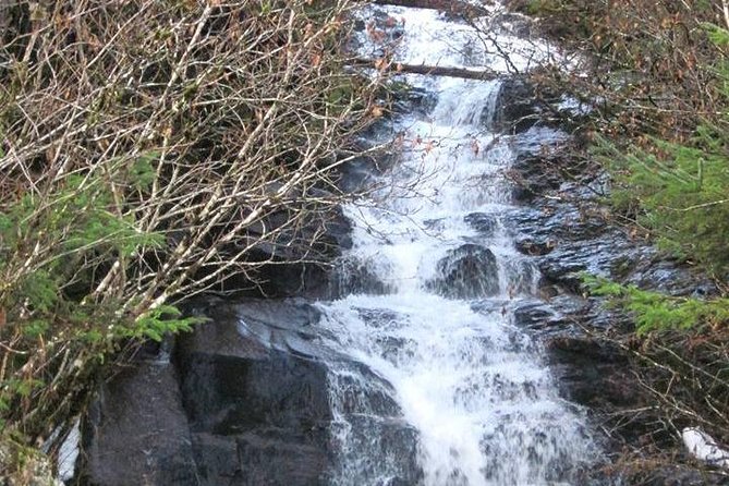 Ketchikan All In One - Final Thoughts: Who Will Love This Tour?