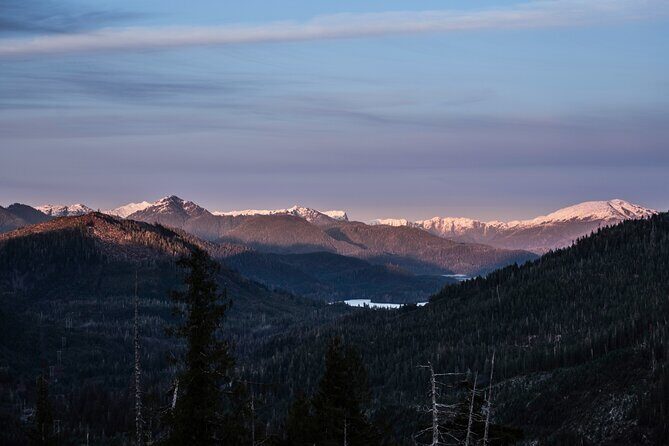 Ketchikan Backcountry Driving Tour Through the Tongass - An In-Depth Look at the Tour Experience