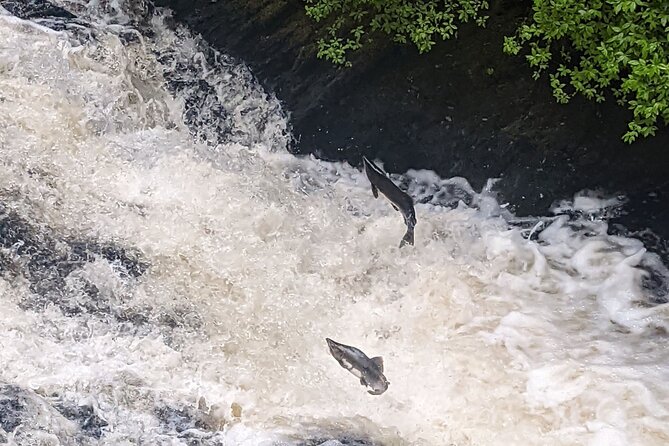 Ketchikan Duck Tour - Who Will Love This Tour?