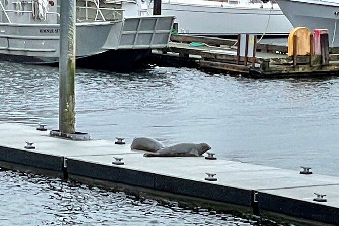 Ketchikan Duck Tour - Final Thoughts