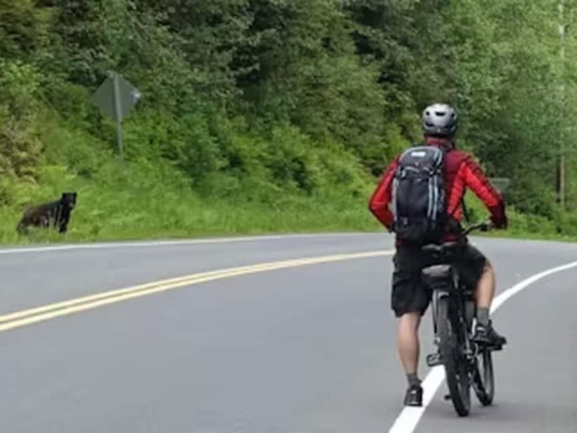 Ketchikan: E-Bike and Hike Tour - Analyzing the Value and Experience